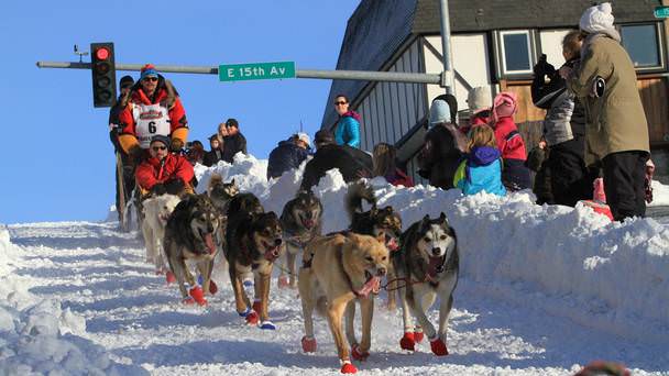 Alaska's Iditarod sled dog race kicks off this weekend - Canada Journal ...
