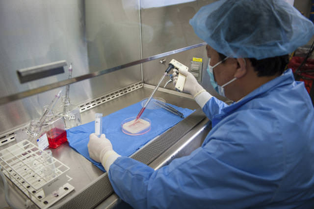 Lab Made Organs - Canada Journal - News of the World