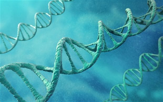 Artificial DNA Breakthrough Could Lead to New Treatments, Report ...