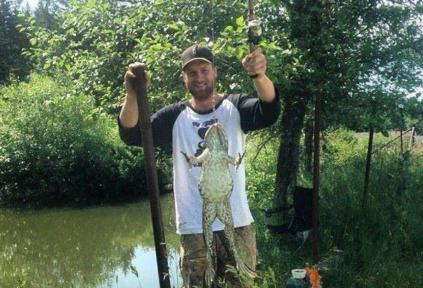 Massive invasive bullfrog captured in Alberni pond (Photo) - Canada ...