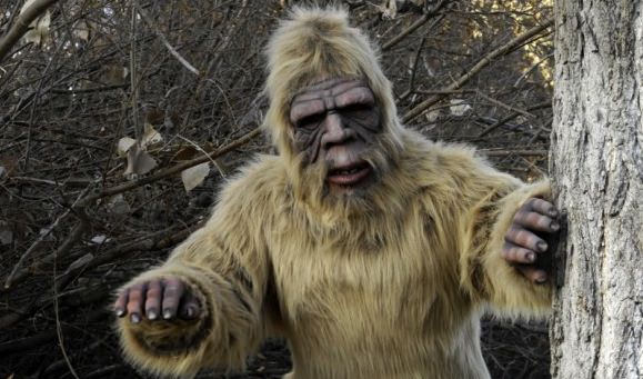 Bigfoot Hair Samples Reveal Creature's Identity, New Study - Canada ...