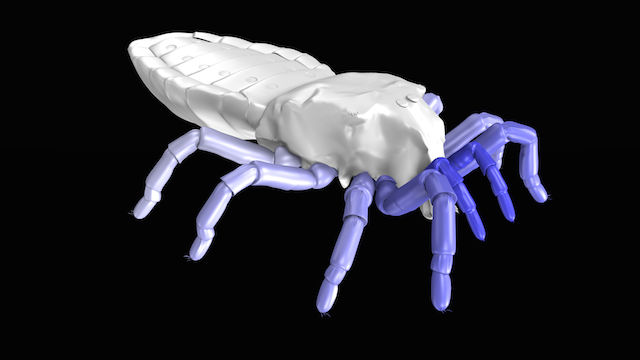 Researchers simulate the gait of ancient arachnid (Video) - Canada ...