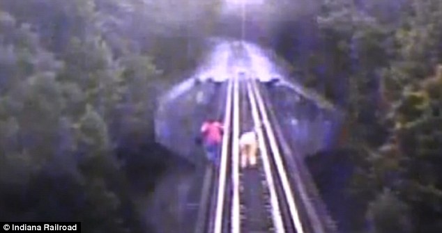 Two women run over by train...and survive (Video) - Canada Journal ...