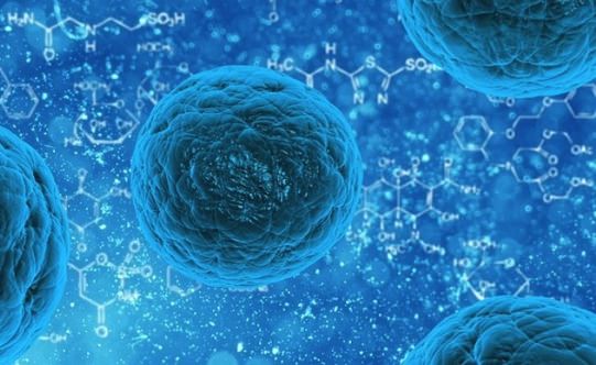 Researchers call for investigation of mysterious cloud-like collections ...