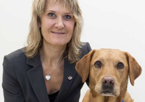 Daisy : Cancer detection dog receives charity medal - Canada Journal ...