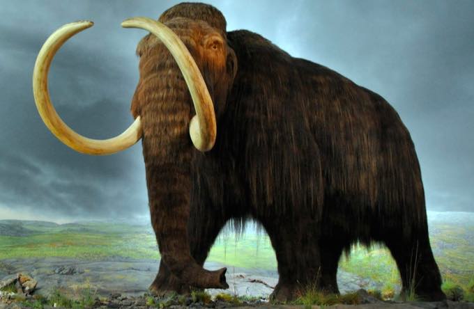 Researchers fully decode a pair of mammoth DNA genomes - Canada Journal ...