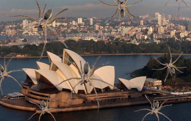 Researchers confirm it's totally normal for it to rain spiders in ...