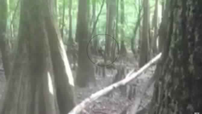 Lizard Man: Video spark new interest in 'Lizard Man' legend In South ...