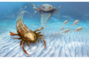 Sea Scorpion Meet Pentecopterus, a new predator from the prehistoric ...