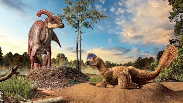 Scientists look at fossilized eggs to explain evolution of dinosaur ...