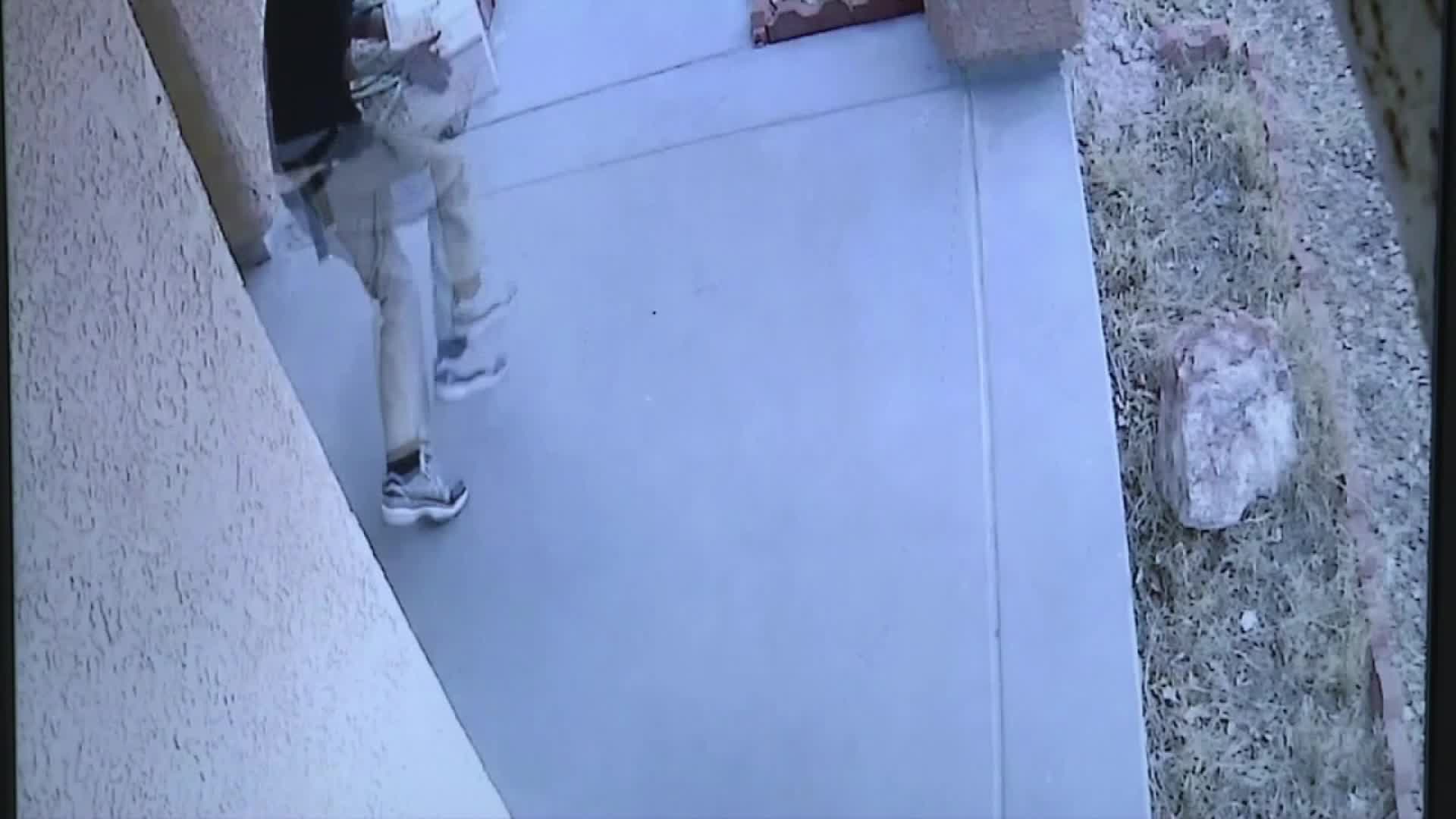 Homeowner tricks package thief into stealing box of dog poop (Video ...