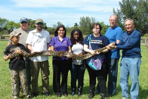 Florida python hunt is underway "Report" - Canada Journal - News of the ...
