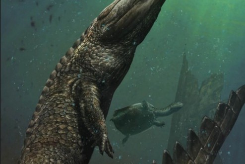 Machimosaurus Rex- 30-Foot Prehistoric Crocodile Lived In The Sahara ...