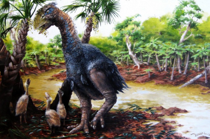 Gastornis: Giant, flightless bird wandered the Arctic 50 million years ...