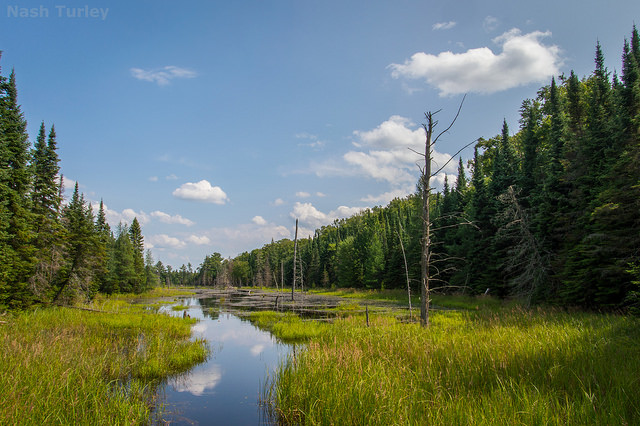 Nature Conservancy of Canada Celebrates World Wetlands Day - Canada ...