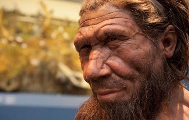 Neanderthal DNA has subtle but significant impact on human traits, New ...
