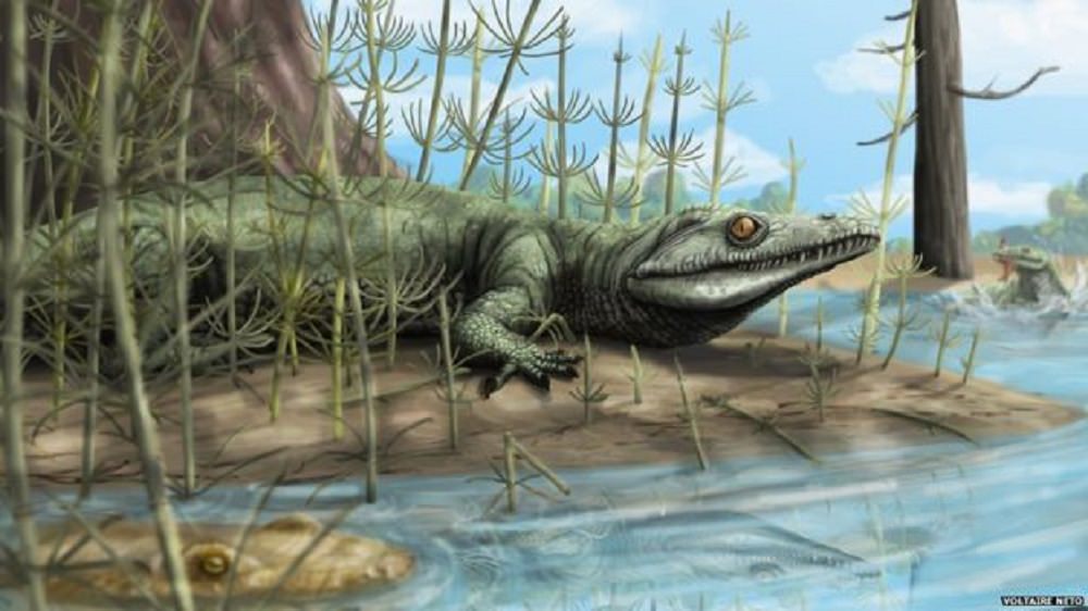 Extraordinary 250-million-year-old Reptile Discovered In Brazil ...