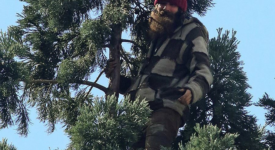 Seattle Man in tree shuts down streets in downtown "Video" - Canada ...