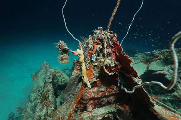 World War II bomber found In Pacific after 72 years - Canada Journal ...