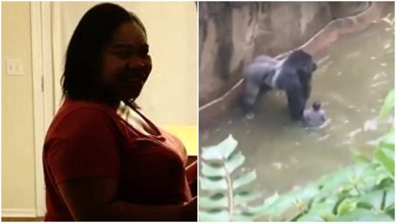 Michelle Gregg: No charges for mother of toddler who fell into gorilla ...