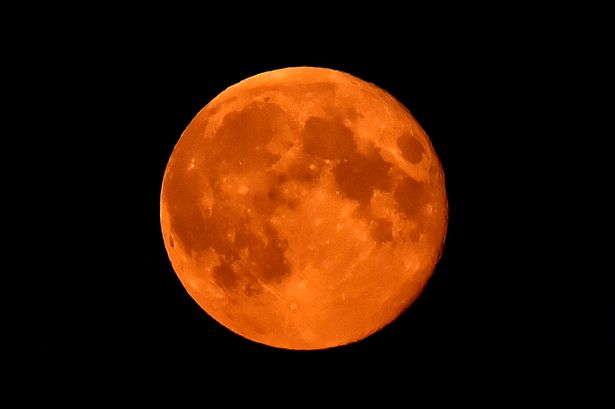 A beautiful Rare “Mega Moon” Will Be Visible This Week - Canada Journal ...