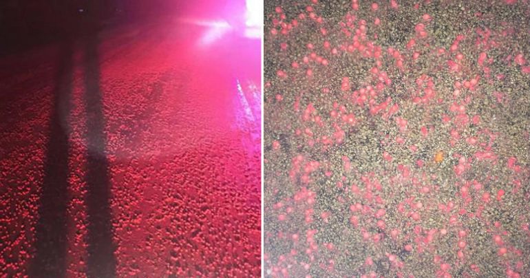 Giant red skittles spill onto Wisconsin highway (Photo) - Canada ...