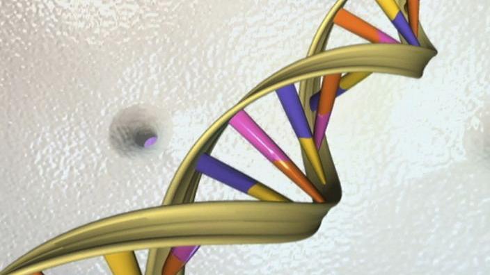 DNA 'mistakes' cause most cancers, New Study Shows - Canada Journal ...