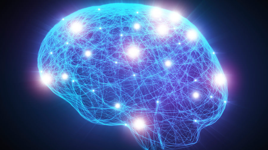 Researchers identify FORTY new 'intelligence genes' - Canada Journal ...