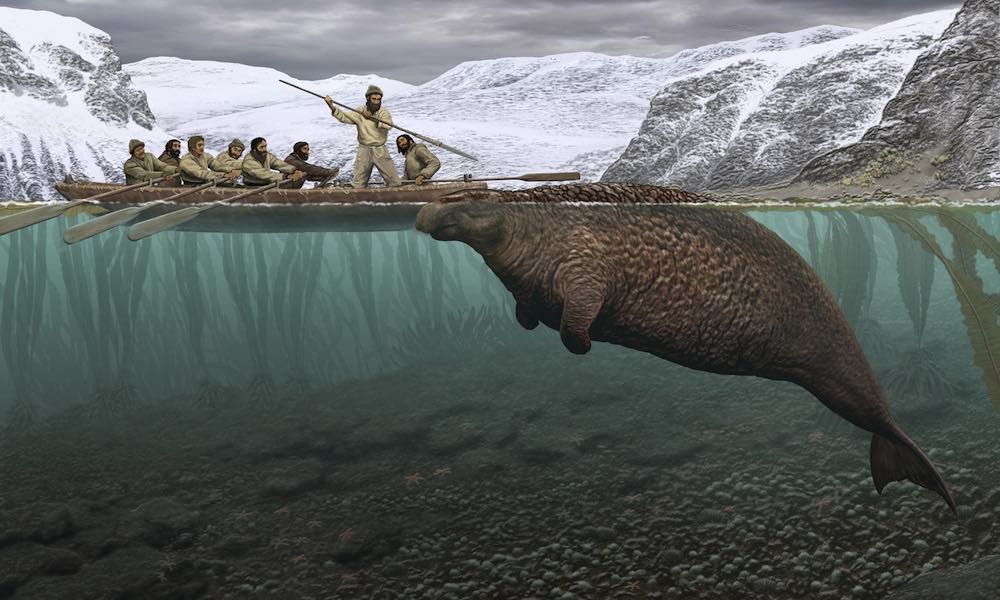 Ancient sea monster found for first time ever (Photo) - Canada Journal ...